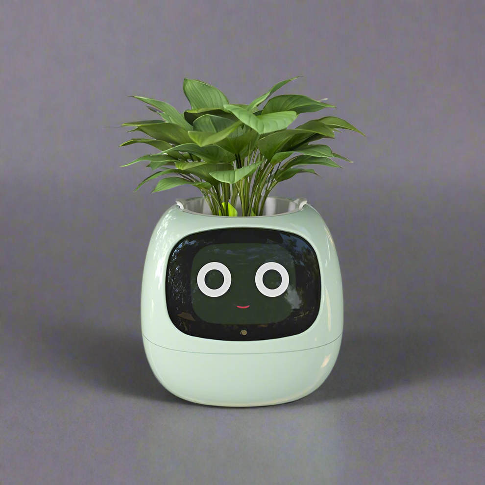 Ivy Smart Plant Robot – HanaGift.al